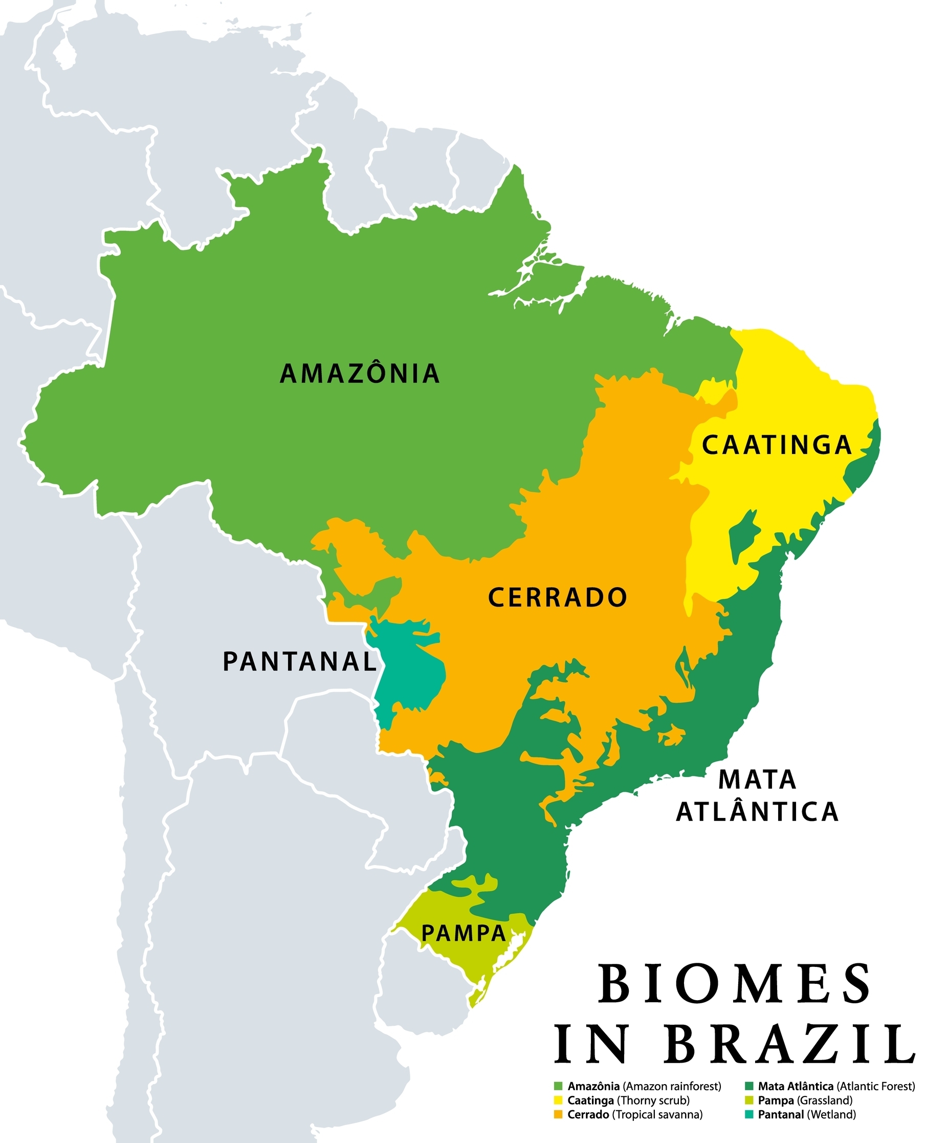 The Importance Of The Cerrado Region For Brazil: Biodiversity And ...